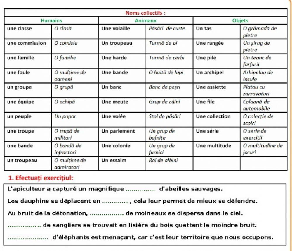 Noms collectifs worksheet | Live Worksheets