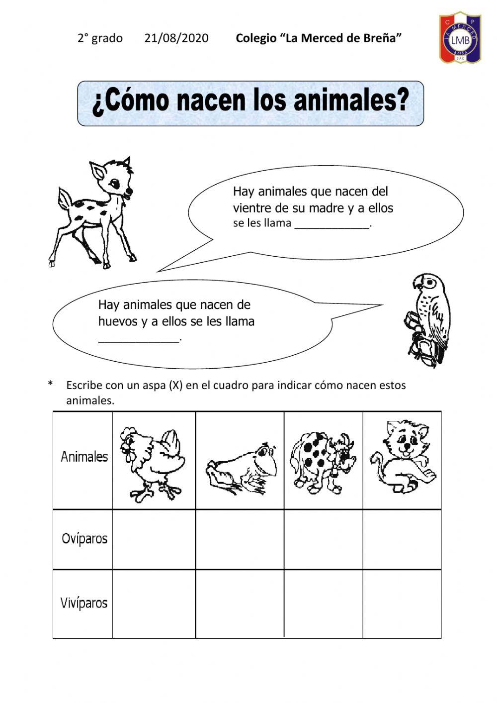 Viviparos ovipa… | Free Interactive Worksheets | 358865