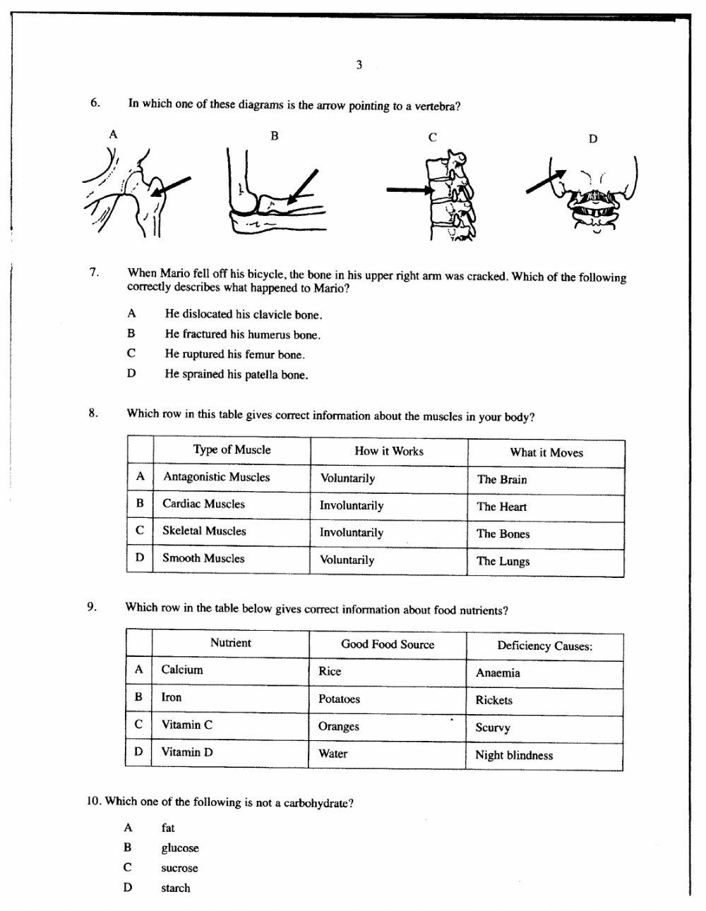 BJC Health Science 2007 online exercise for | Live Worksheets