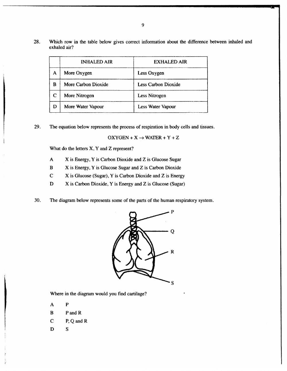 BJC Health Science 2007 online exercise for | Live Worksheets