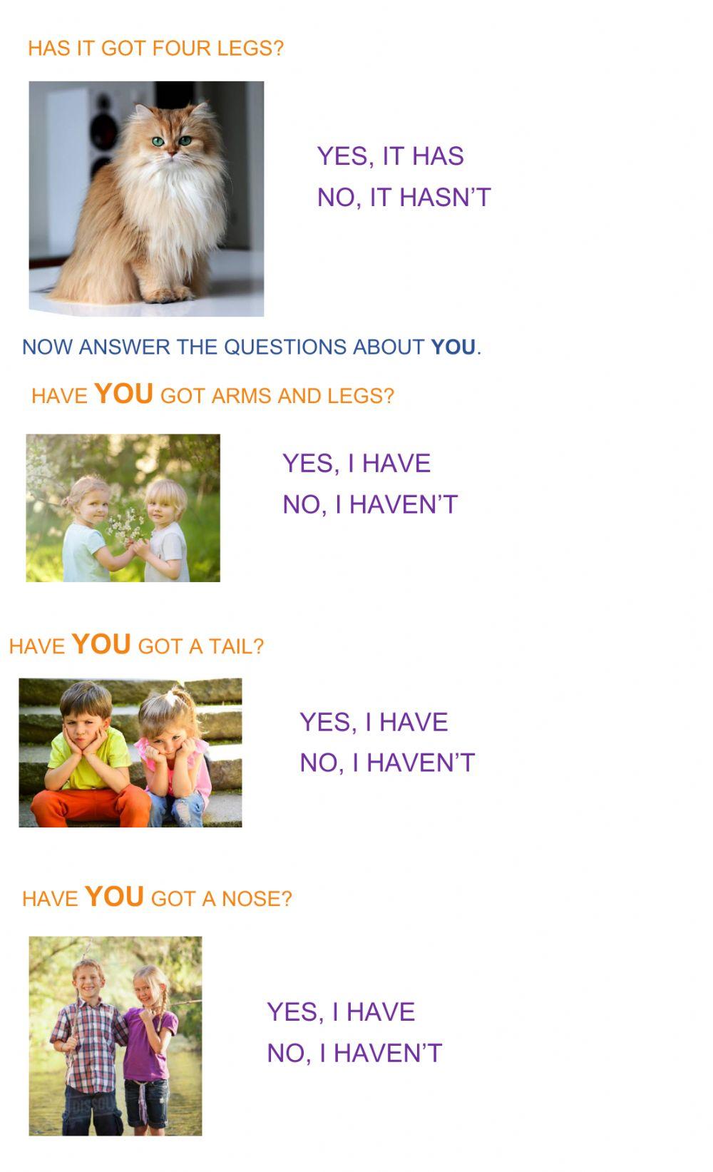 Has it got-have you got worksheet | Live Worksheets