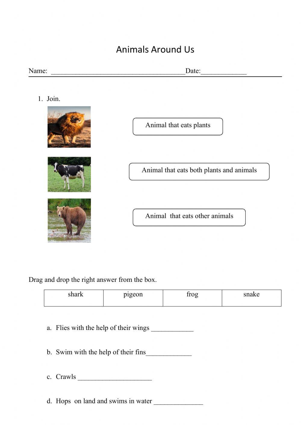 Animals Around Us online exercise for | Live Worksheets