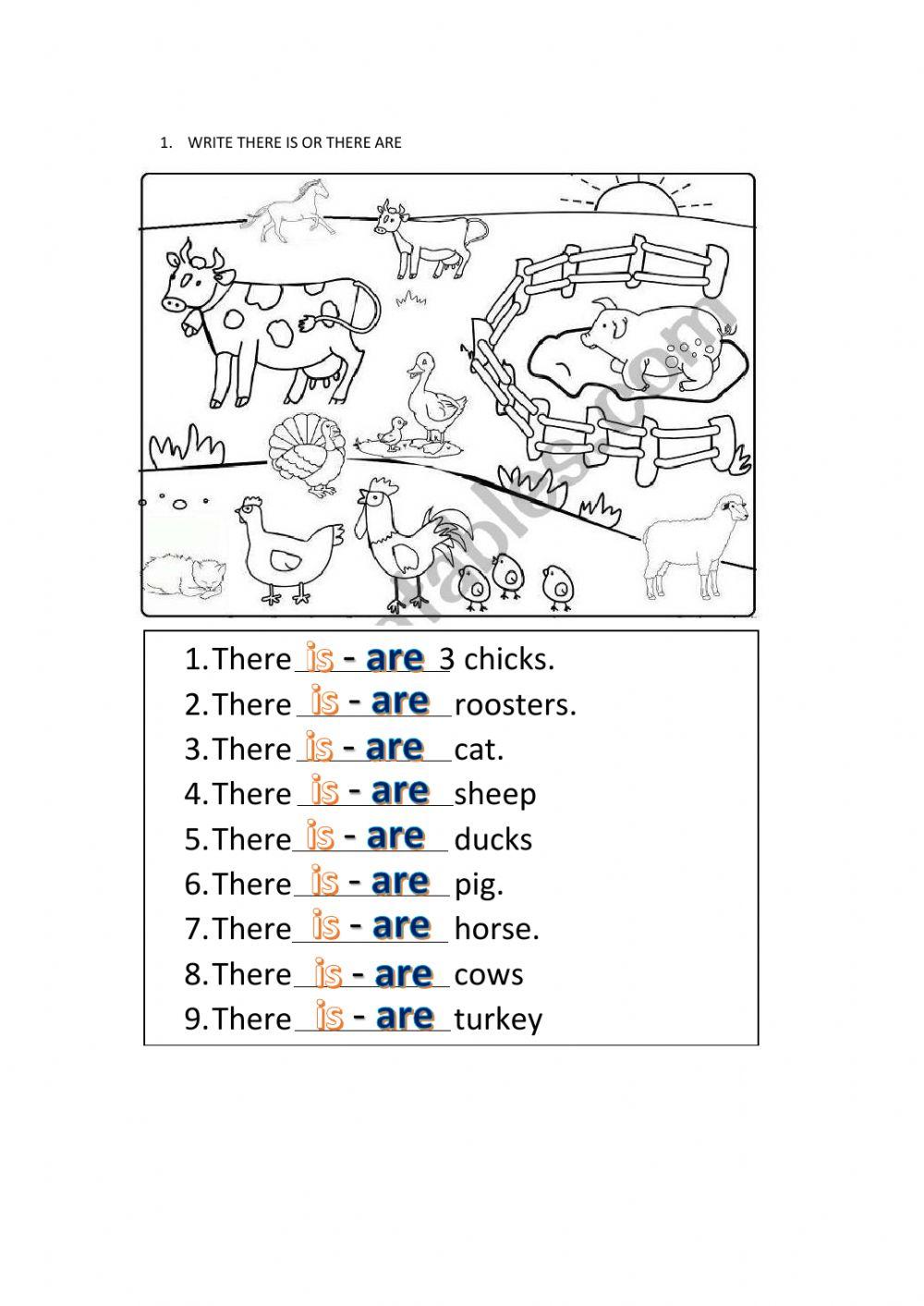 Quiz first grade worksheet | Live Worksheets