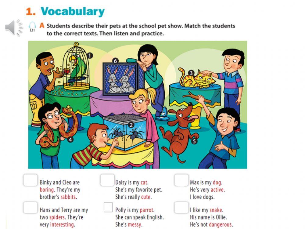 Pets show worksheet | Live Worksheets