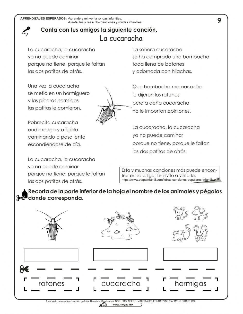 Ejercicio de español interactive worksheet | Live Worksheets