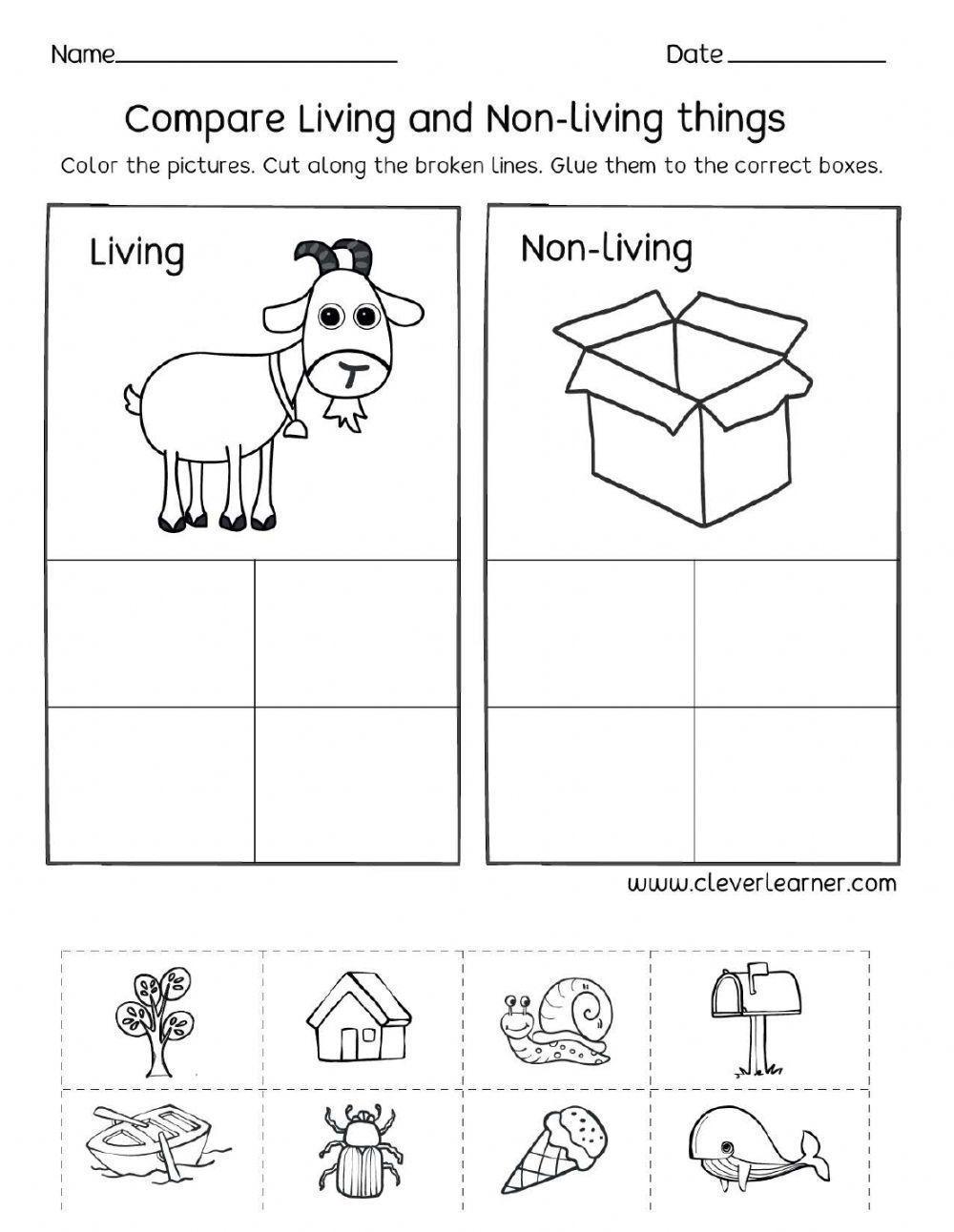 Living And Non Living Things Activity Live Worksheets living-and-non-living-things-activity-live-worksheets