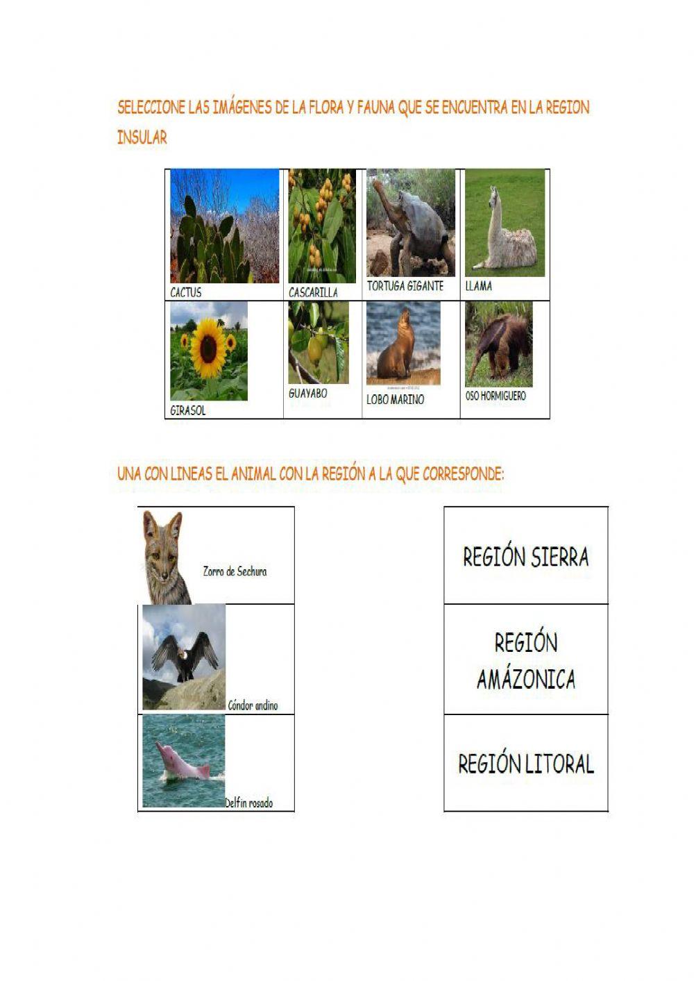 Relieve, regiones naturales, flora fauna worksheet | Live Worksheets