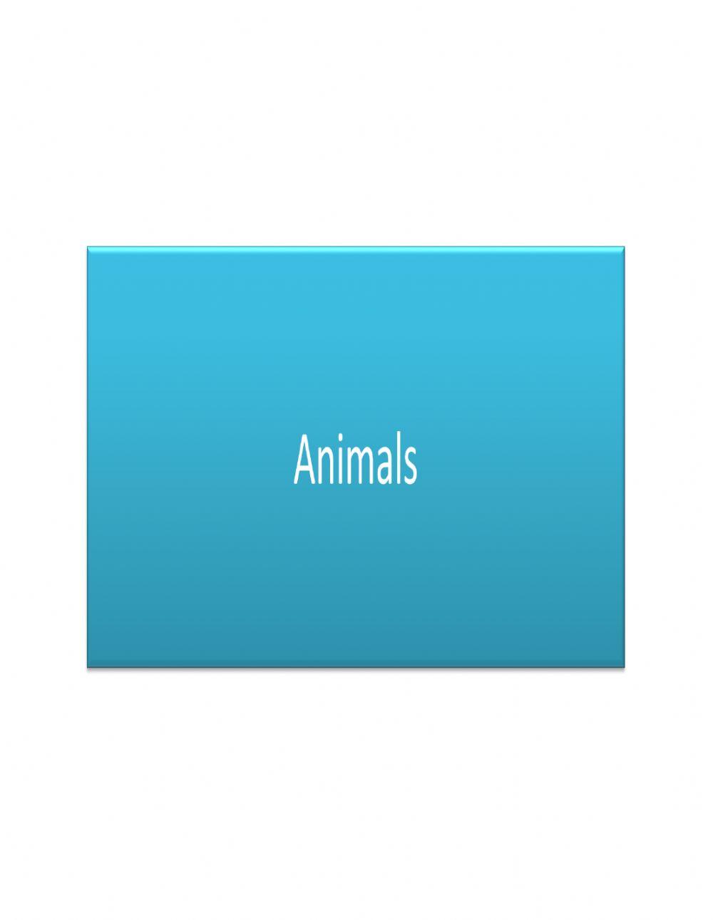 Identifying animals worksheet | Live Worksheets