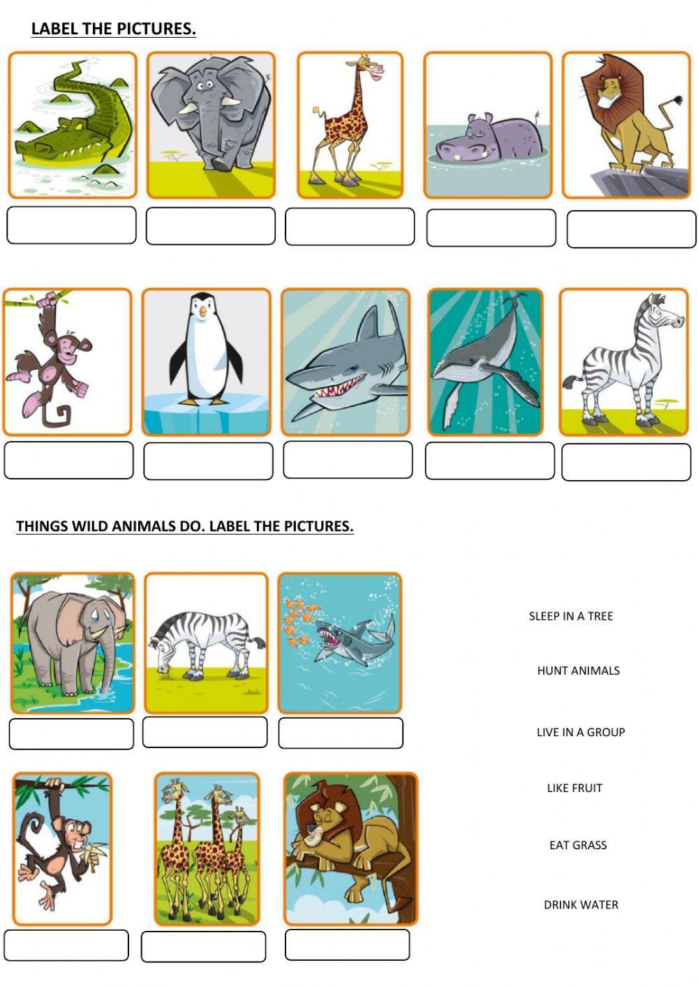 Wild Animals online exercise for cuarto primaria | Live Worksheets