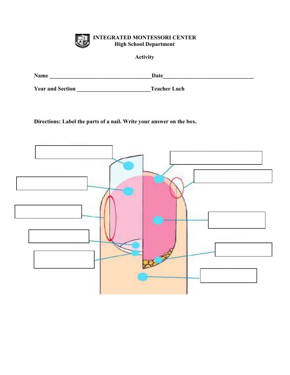 TLE Activity -1 | Free Interactive Worksheets | 369465