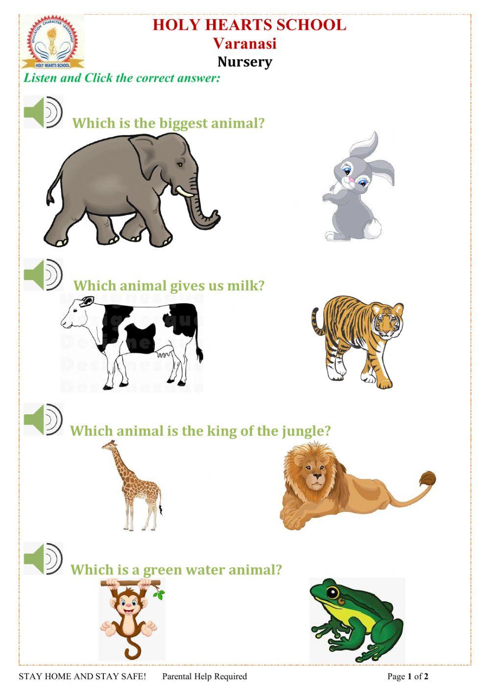 Nursery EVS Animals worksheet | Live Worksheets