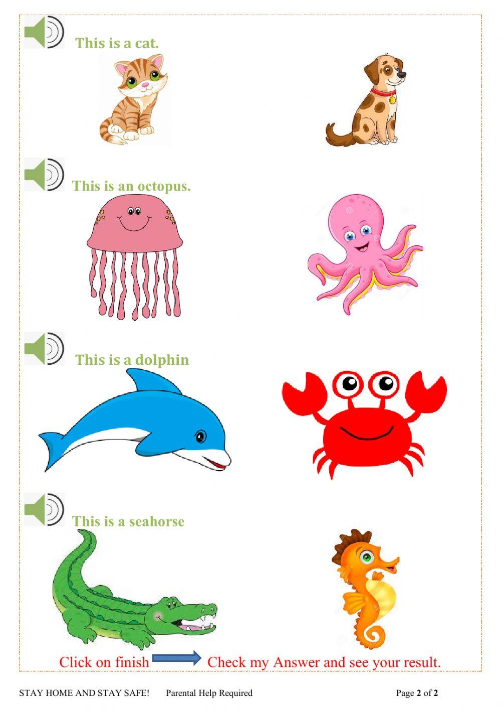 Nursery EVS Animals worksheet | Live Worksheets