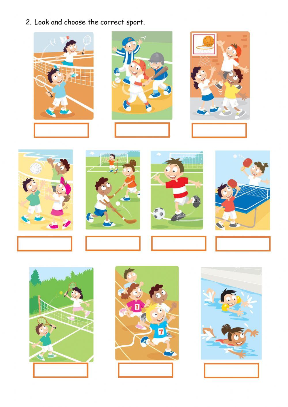 Sports club | Free Interactive Worksheets | 6041805