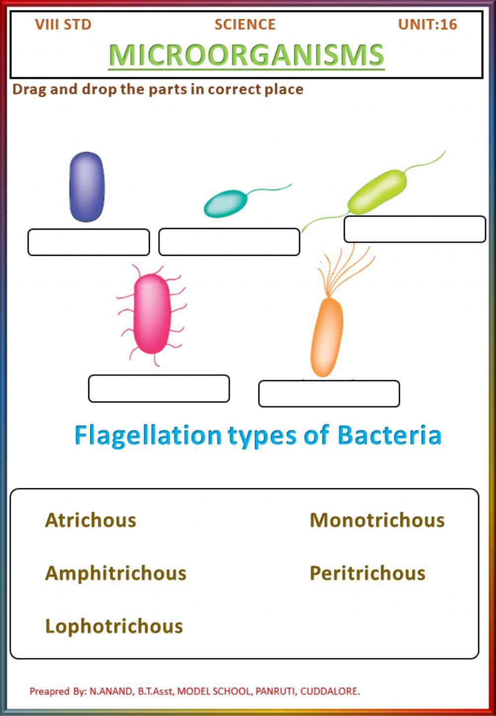 8th science | N ANAND | Live Worksheets