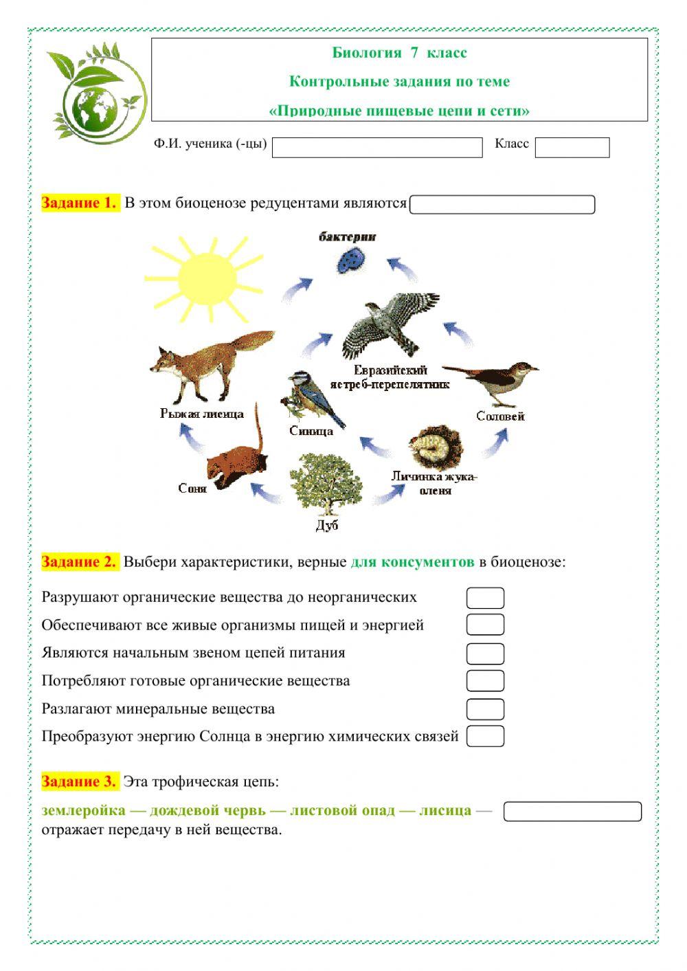 Пищевые цепи и сети 7 класс Online Exercise For Live Worksheets