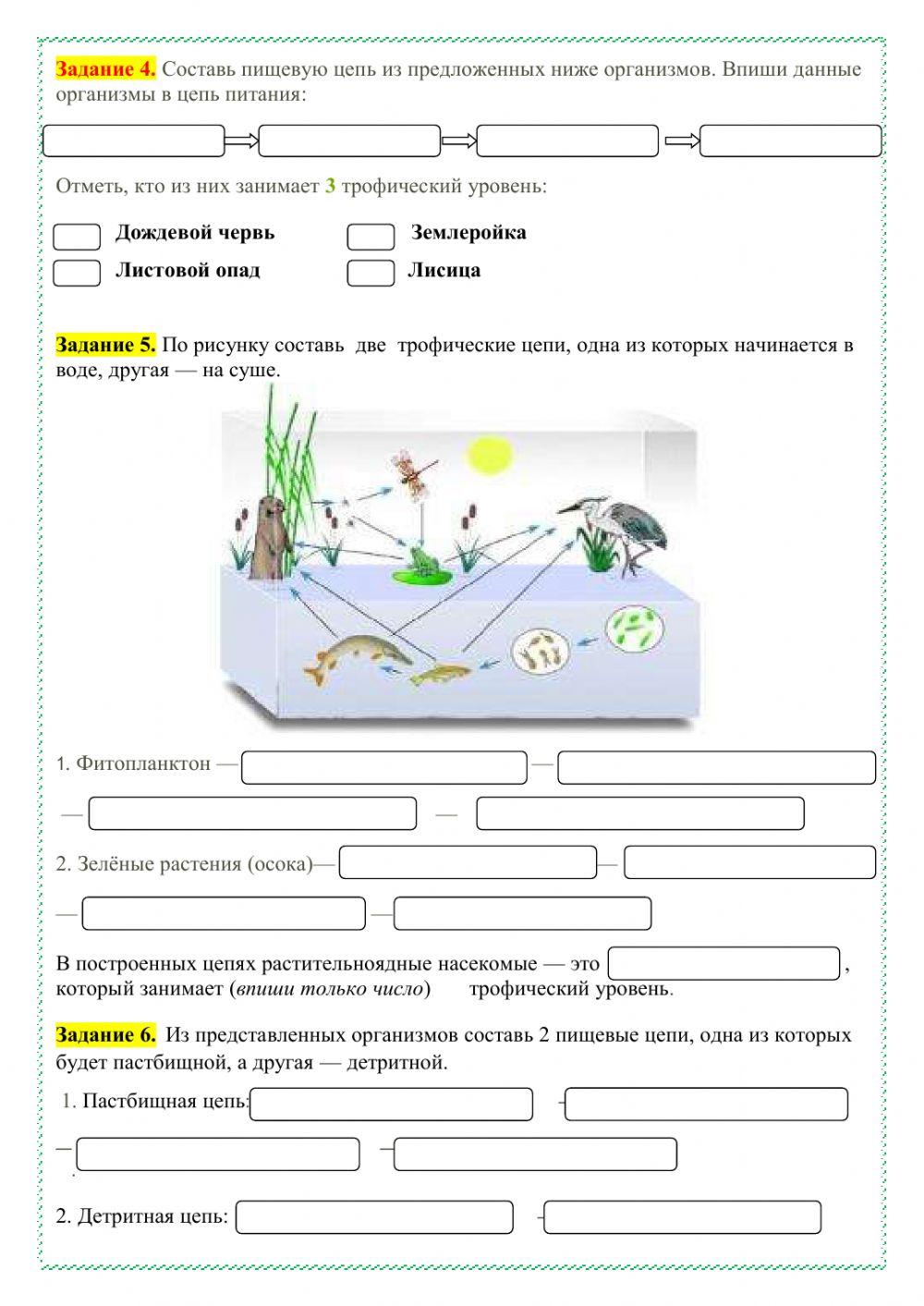 Пищевые цепи и сети 7 класс Online Exercise For Live Worksheets