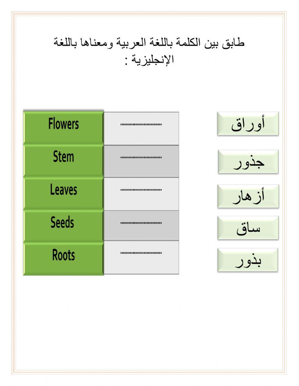 Plants parts interactive worksheet | Live Worksheets