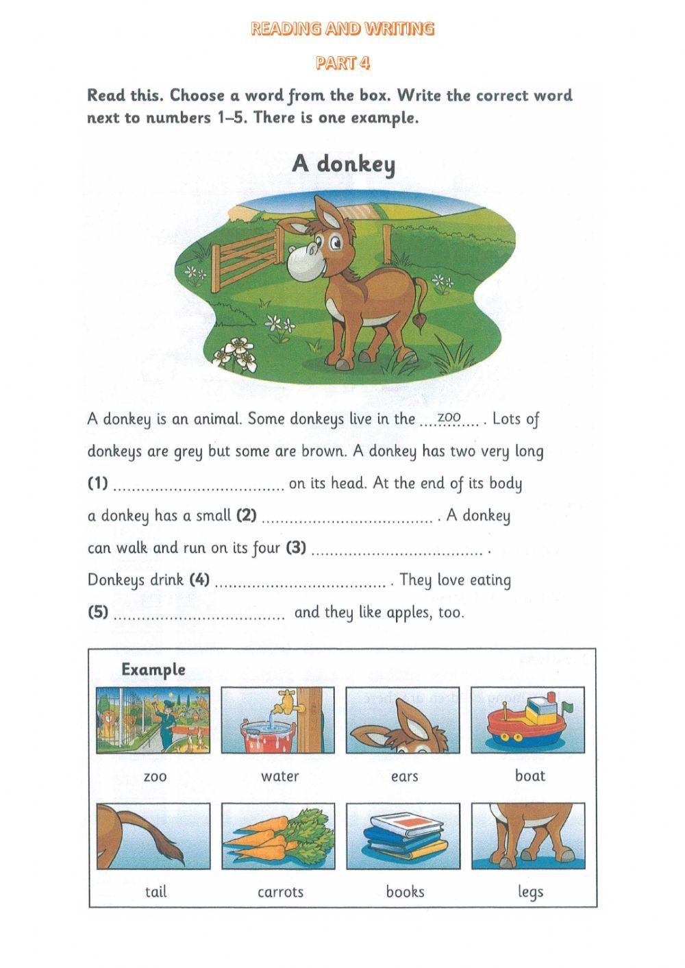 6109329 | Starters - Reading and writing test term 3 part