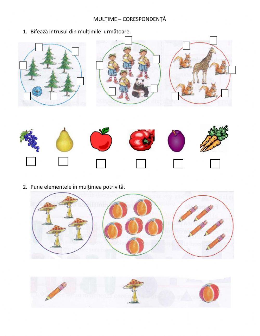 Multimi-corespondenta worksheet | Live Worksheets
