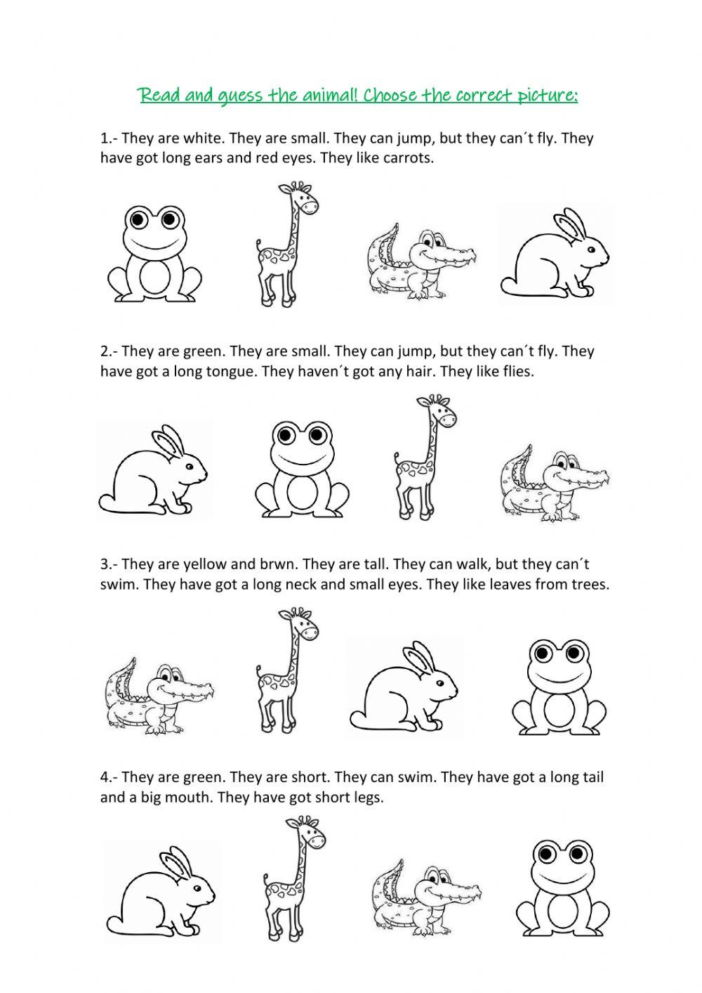 Guess the animal activity for primario | Live Worksheets