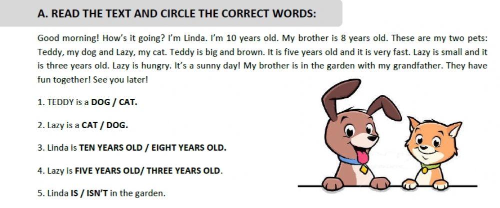 Choose the right option online worksheet | Live Worksheets