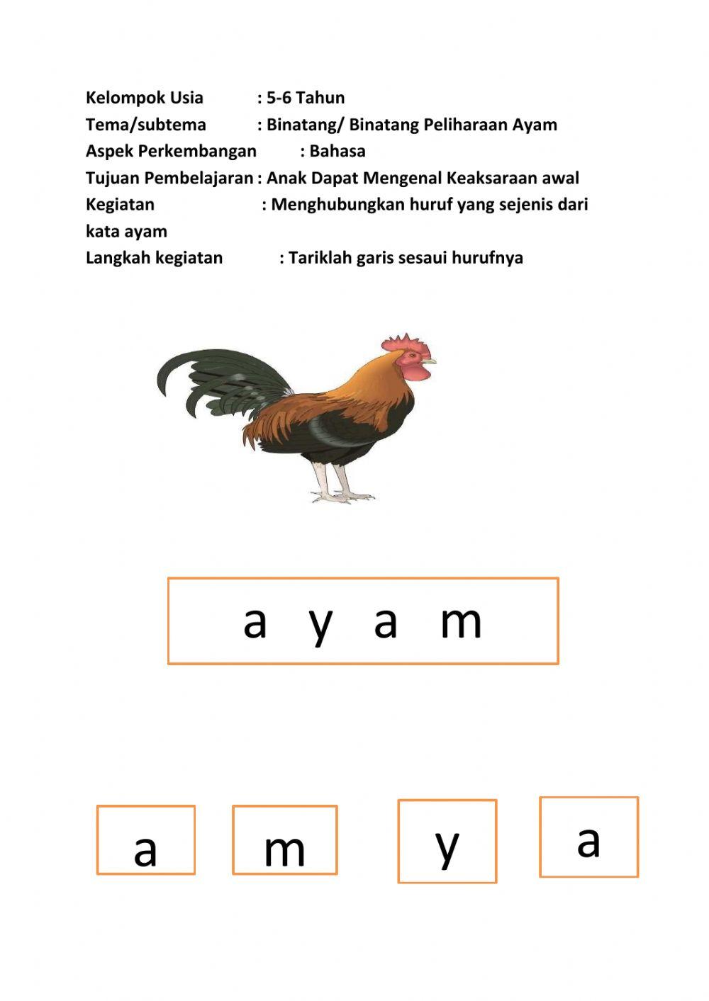 Student | Live Worksheets