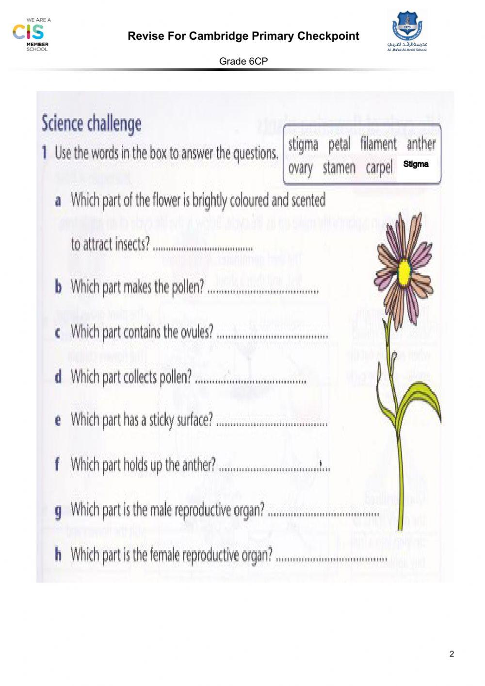 Plants Reproduction (6CP) 6061757 | nadaalhasan