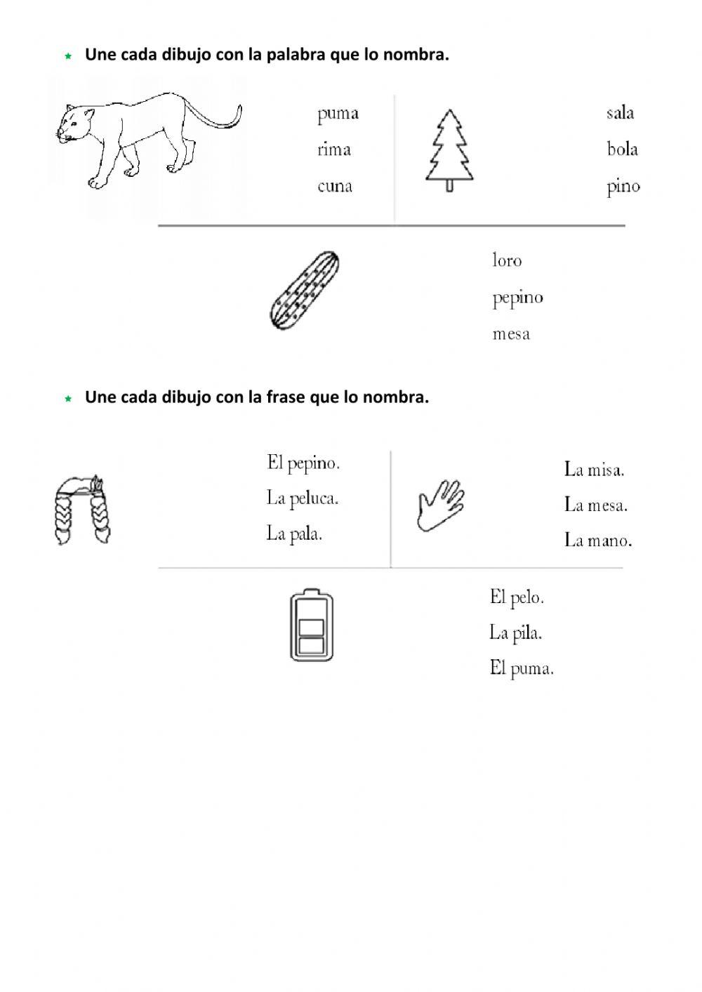 Leer y unir palabras y frases con p worksheet | Live Worksheets