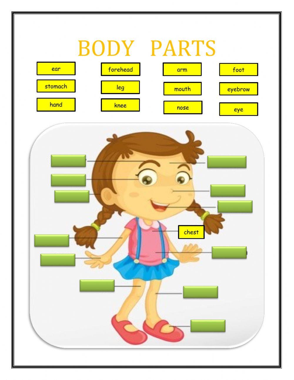 BODY PARTS online exercise for Elemental | Live Worksheets