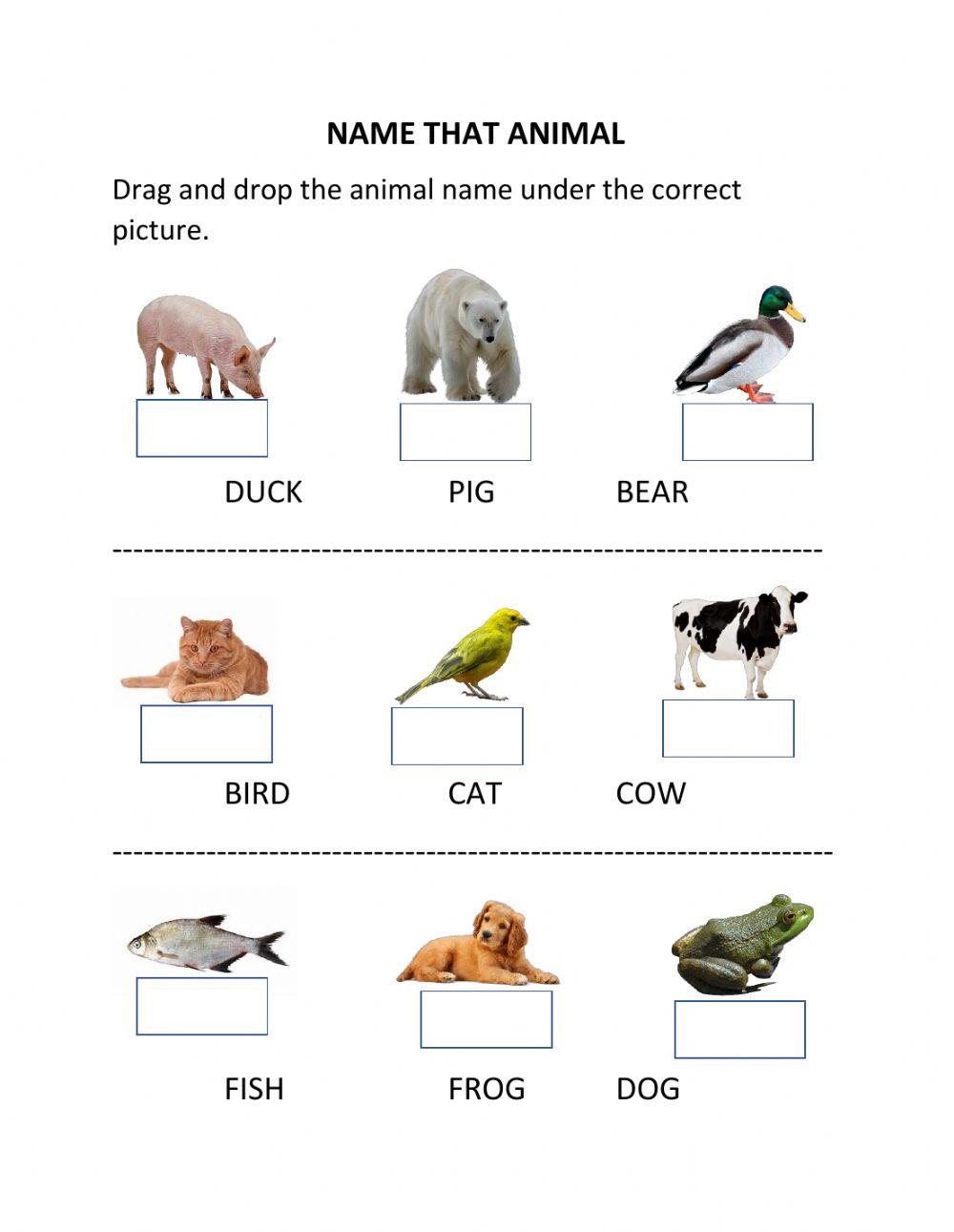 Name That Animal | Free Interactive Worksheets | 380995
