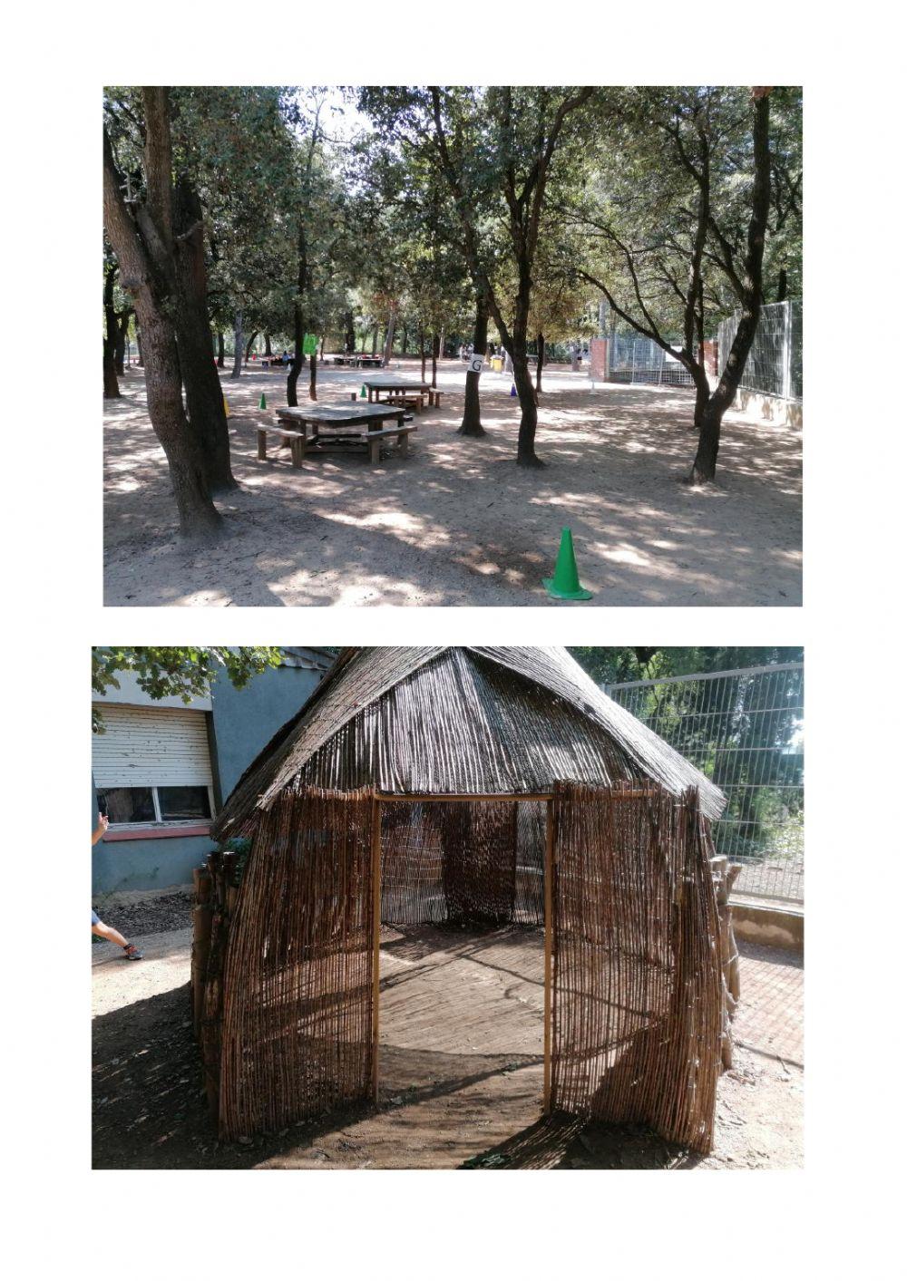 Pins - playground worksheet | Live Worksheets