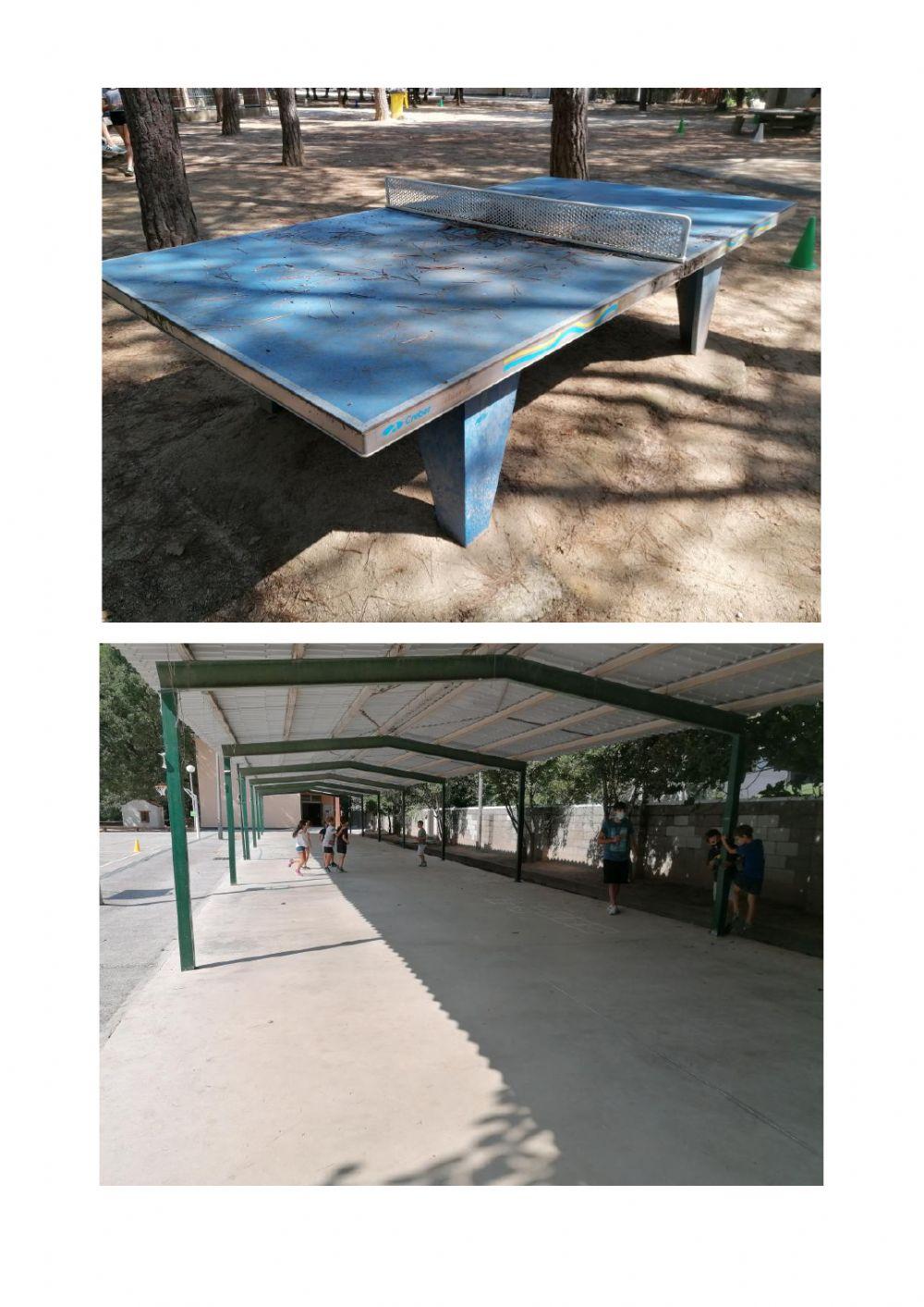 Pins - playground worksheet | Live Worksheets