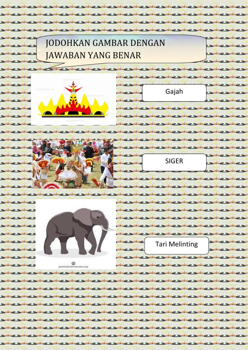 Budaya daerah worksheet | Live Worksheets