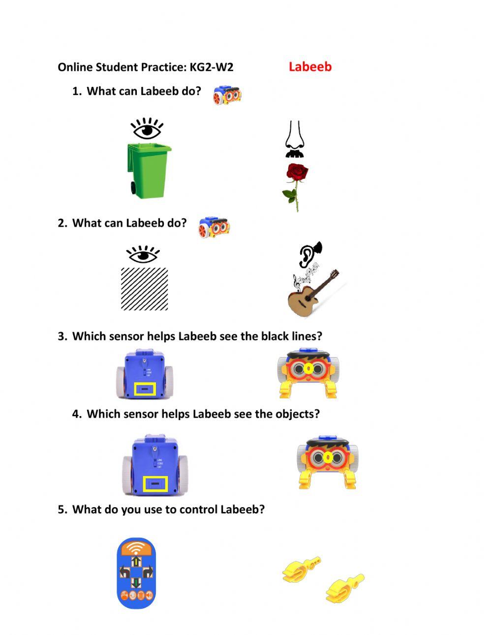 Labeeb Robot-W2 worksheet | Live Worksheets