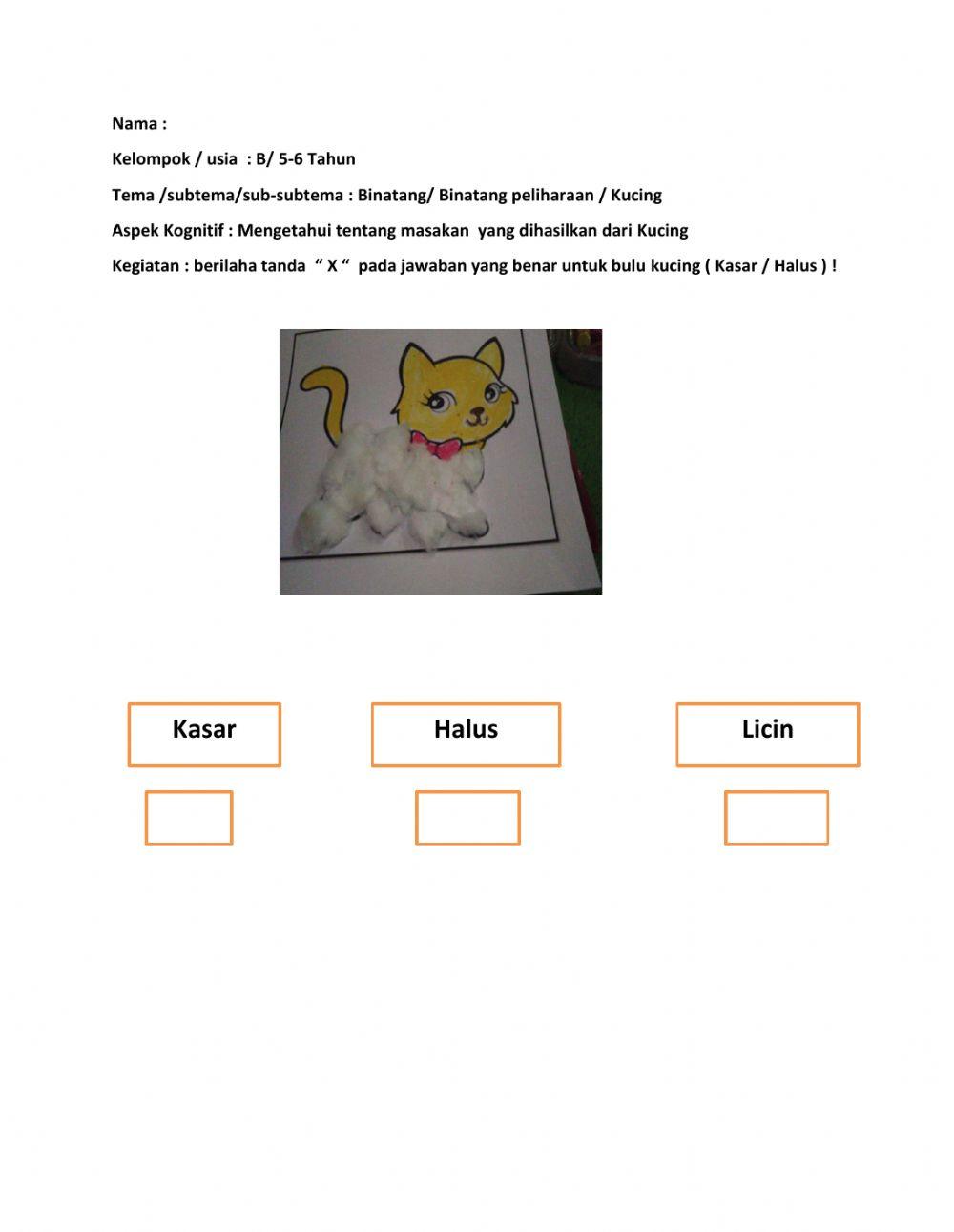 Tema kucing worksheet | Live Worksheets