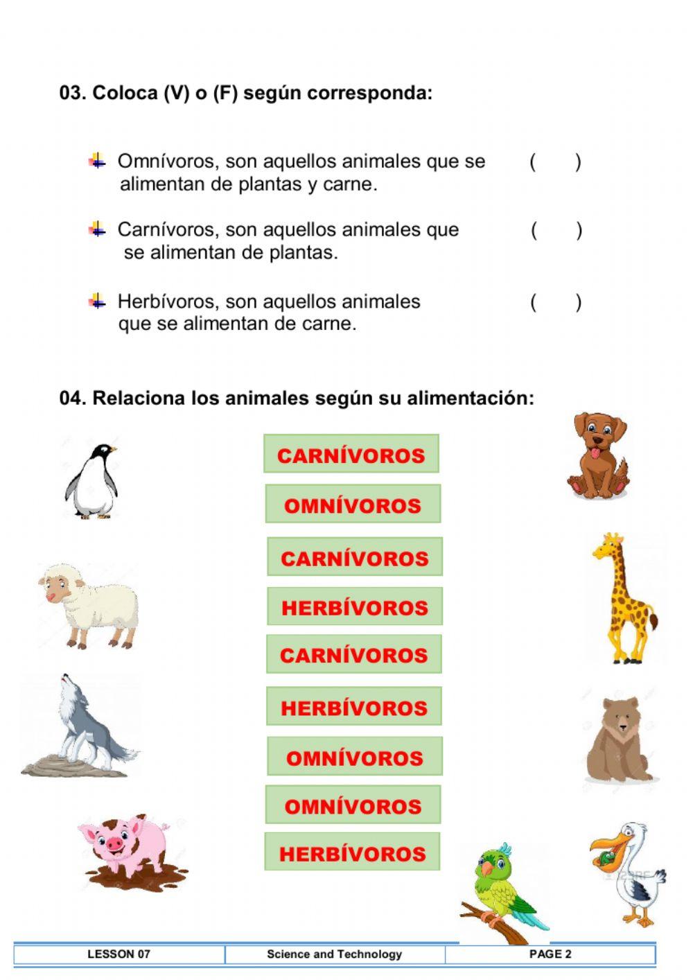 Animales Segun Su Alimentacion Xili - vrogue.co Animales Segun Su Alimentacion Xili - vrogue.co
