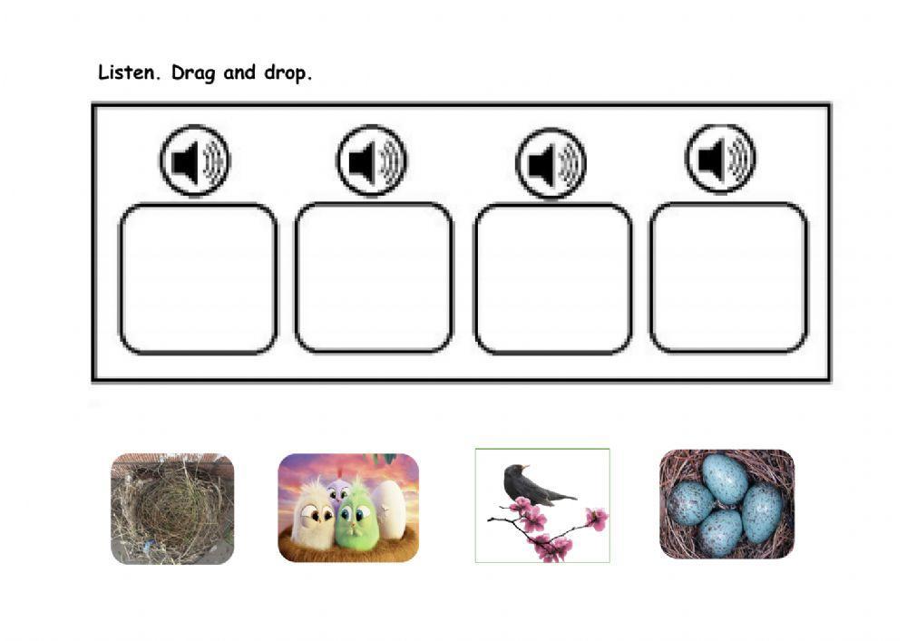 The bird life c… | Free Interactive Worksheets | 348144