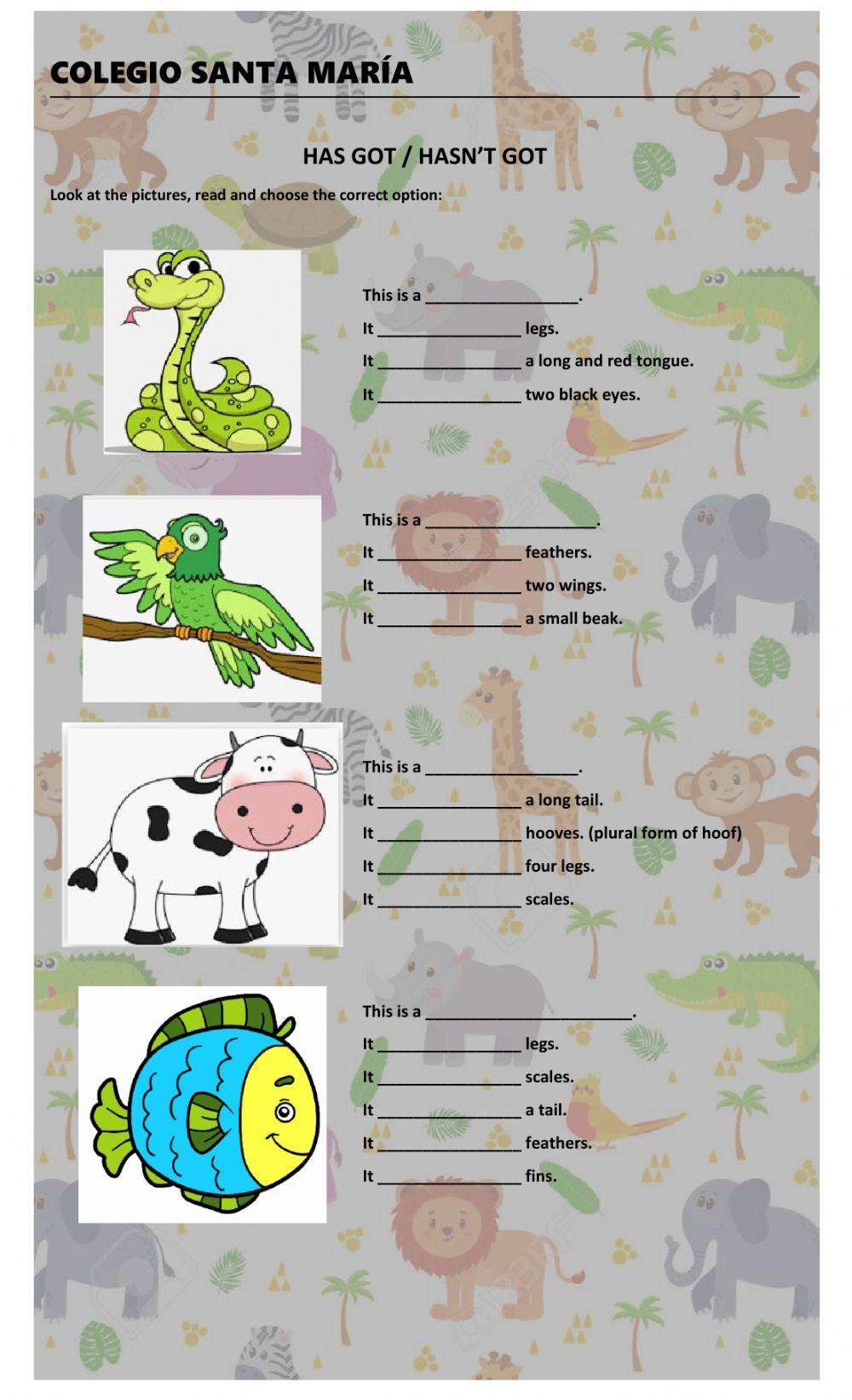 Has got - hasn'… | Free Interactive Worksheets | 348454