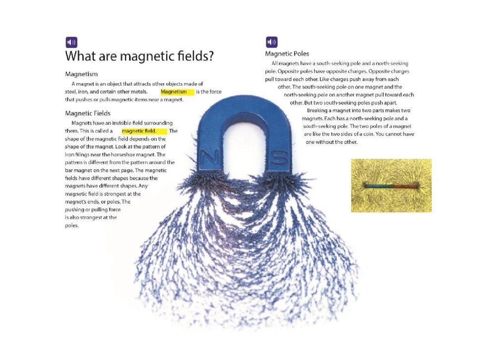 What are magnet… | Free Interactive Worksheets | 348450