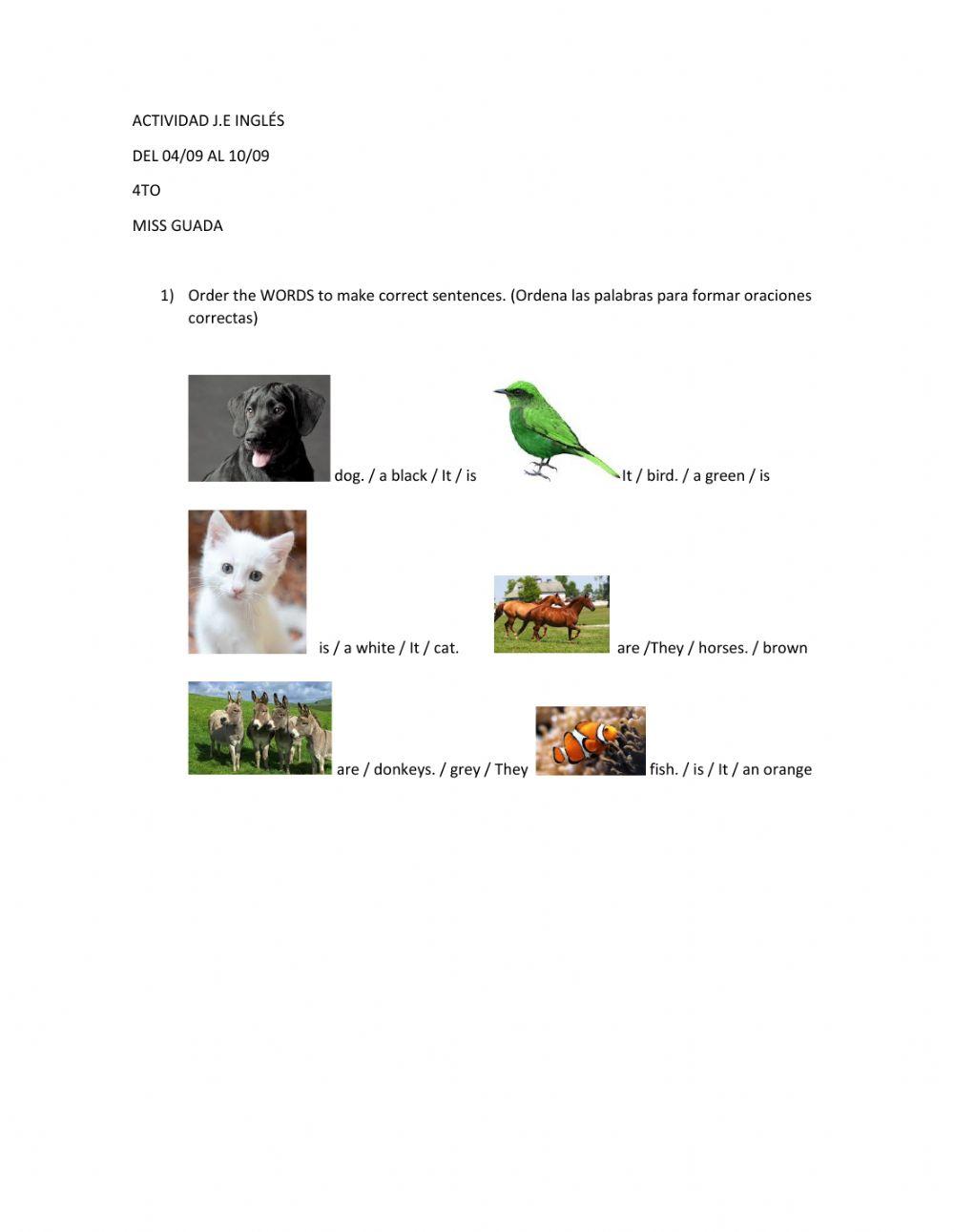 Animals online exercise for grade 4 | Live Worksheets