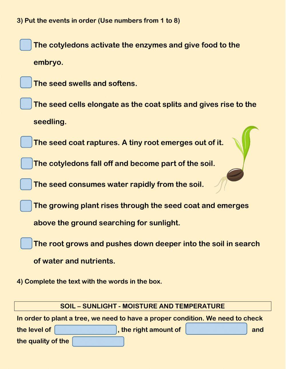 Germination | Free Interactive Worksheets | 392475