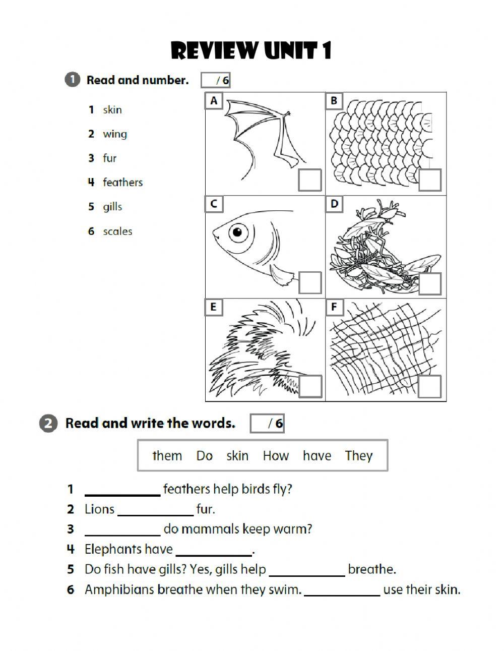 Review U1 | Fernanda Torres | Live Worksheets