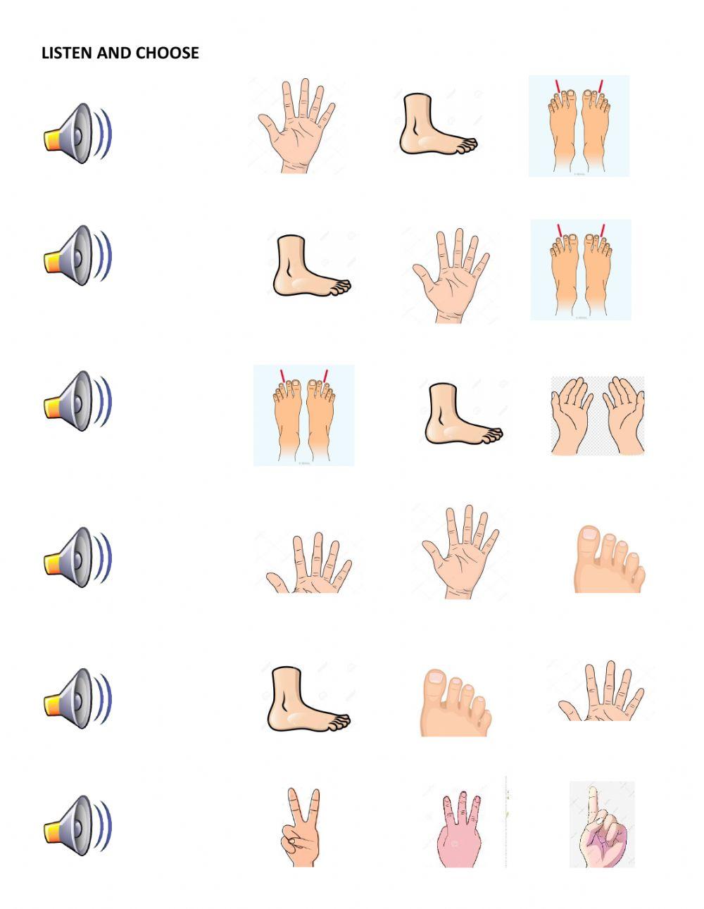 Hands and feet | Free Interactive Worksheets | 393048