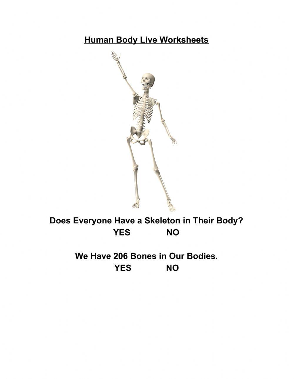 Skeleton 393046 | quickmelissa | Live Worksheets