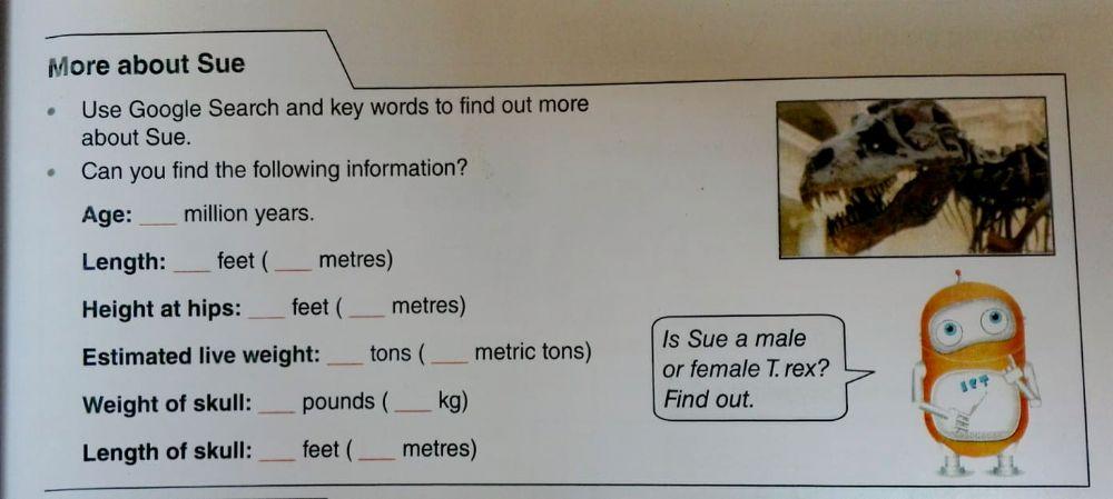 Who is Sue? worksheet | Live Worksheets