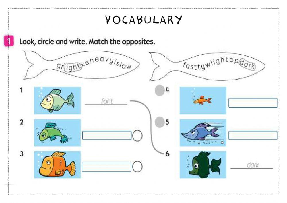 Kids 4 exercise for kids | Live Worksheets