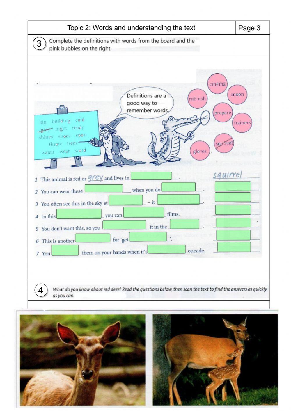 Week 6 worksheet | Live Worksheets