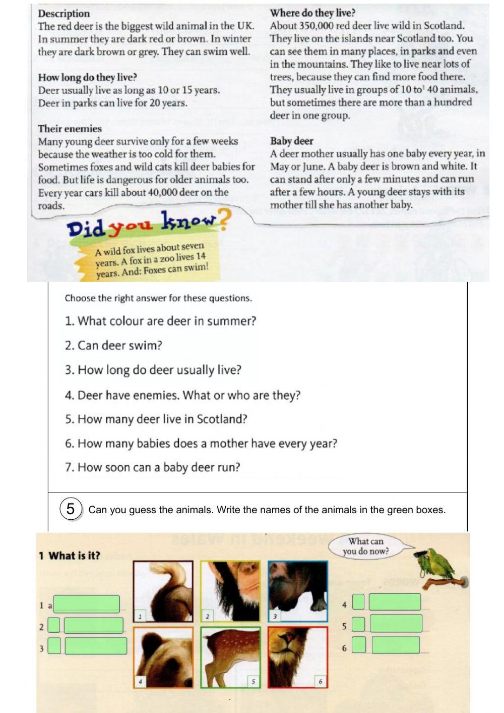 Week 6 worksheet | Live Worksheets