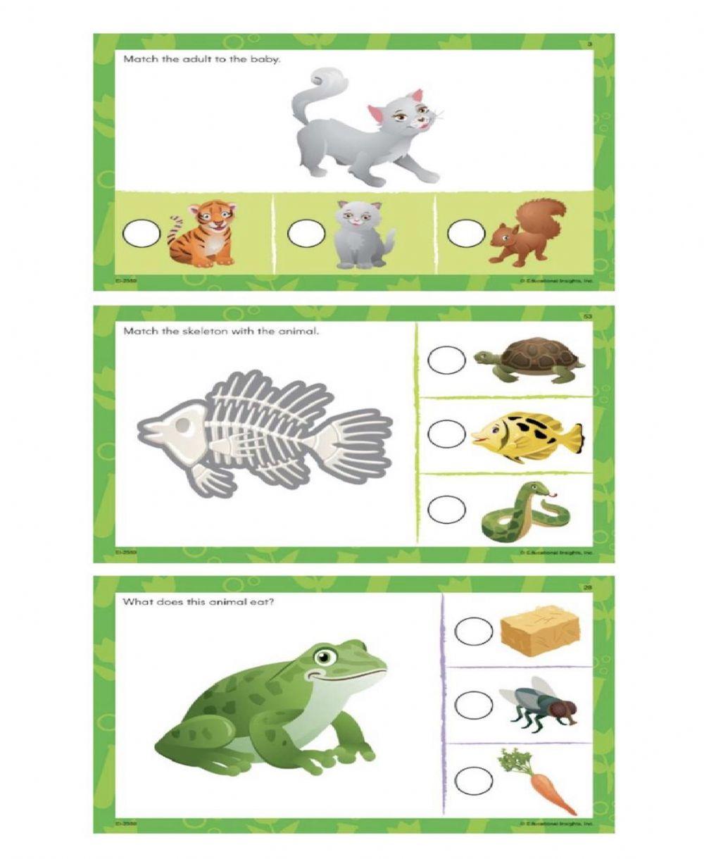 prer eval | Free Interactive Worksheets | 5989654