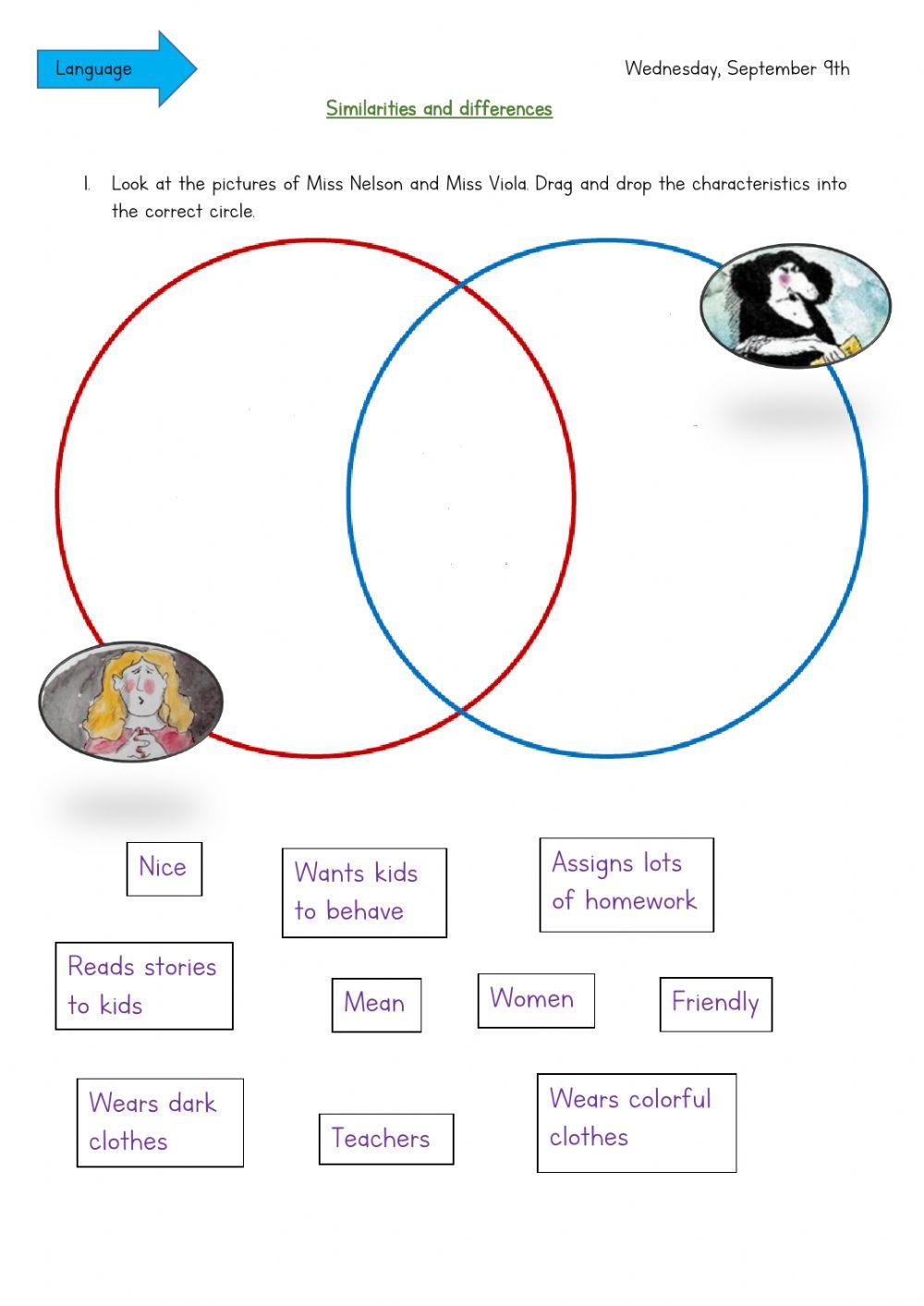similarities and differences sheet